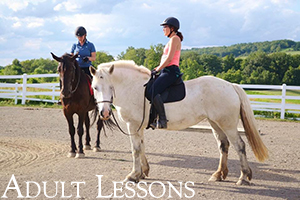 Painted Bar Stables - Horseback Riding Lessons