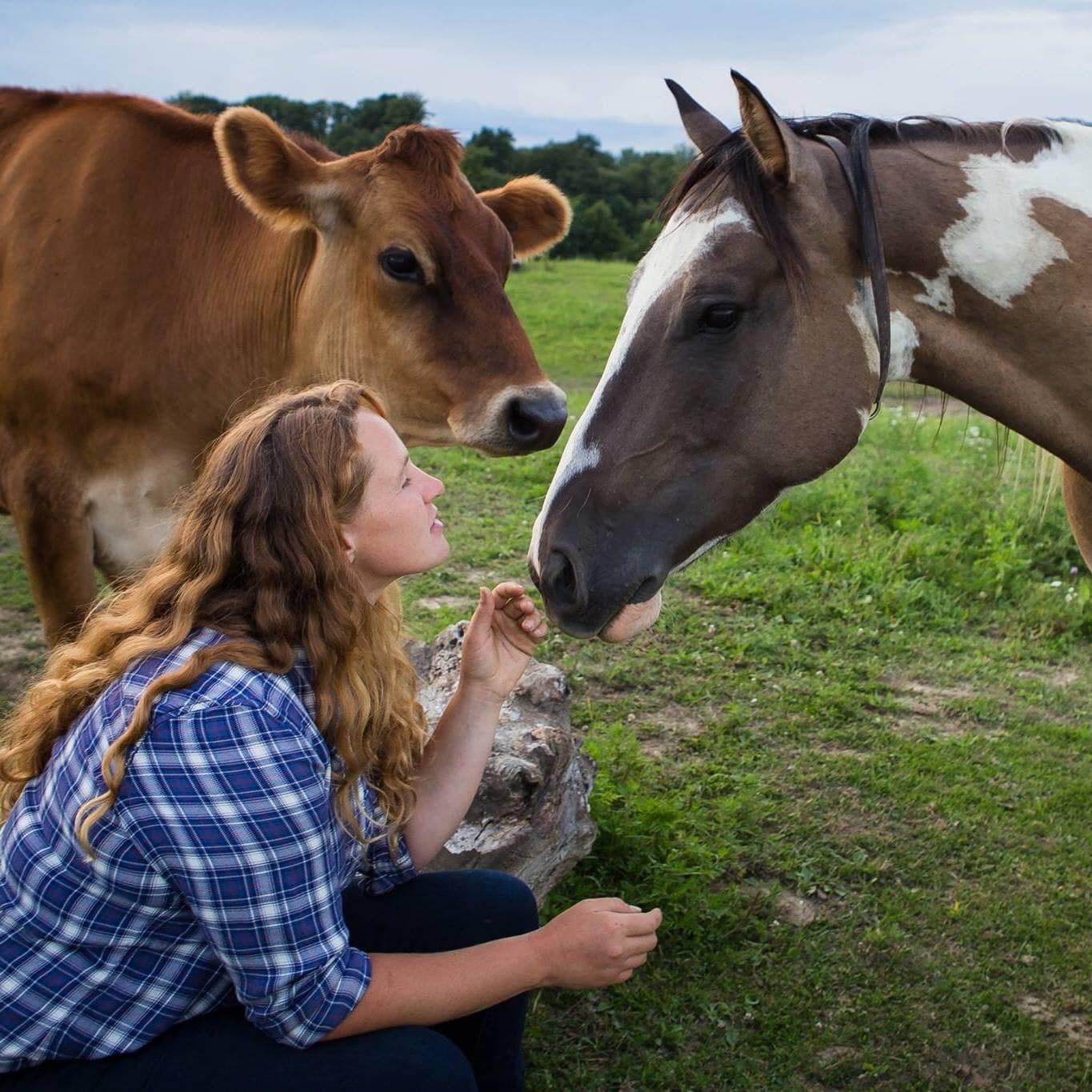 Painted Bar Stables COVID19 Sponsorships