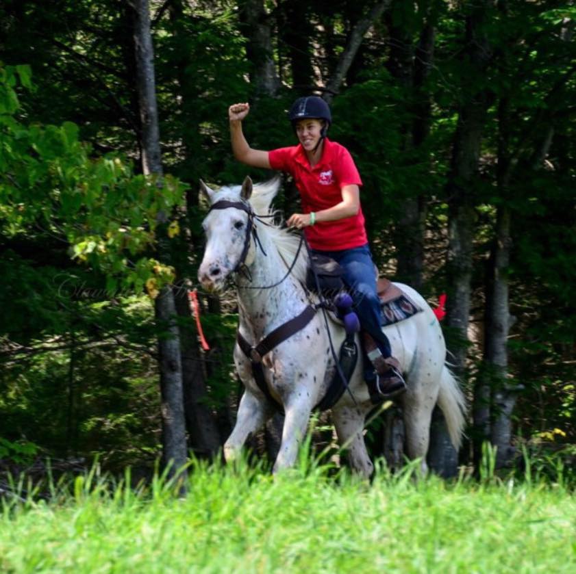 Painted Bar Stables, Your Place on a Horse