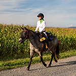 Painted Bar Stables - Bios